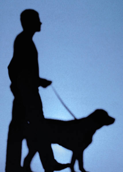 Bandtvang for hund - Hemsedal kommune